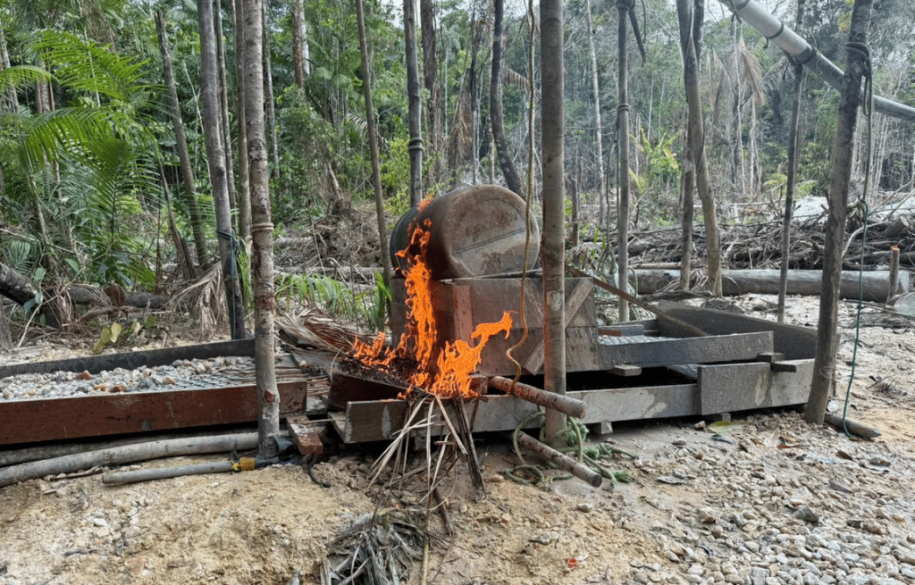 Nearly 200 Arrested in Cross-Border Operation Against Illegal Gold ...