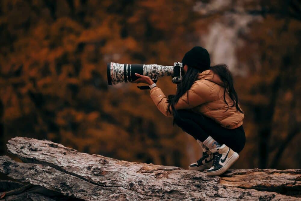 Lisbon's Natural History Museum Photography Contest: Capturing the ...